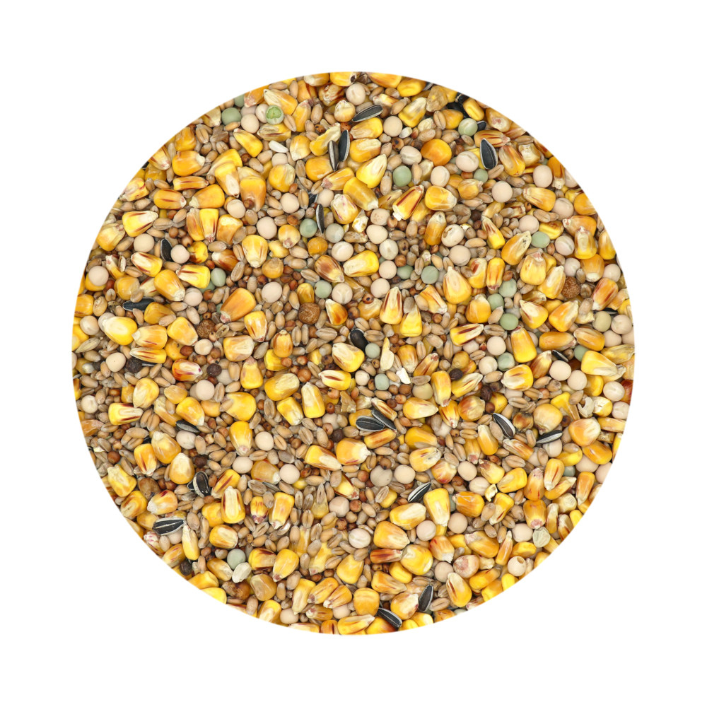 Mistura Gra-Mix Pombos Eco - Versele-Laga